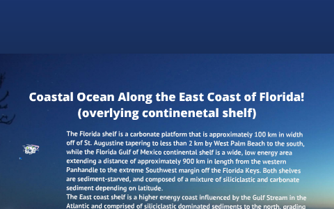 East Coast of Florida Food Web! by MaryBeth Walters on Prezi