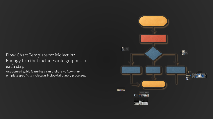 Flow Chart Template for Molecular Biology Lab that includes info ...