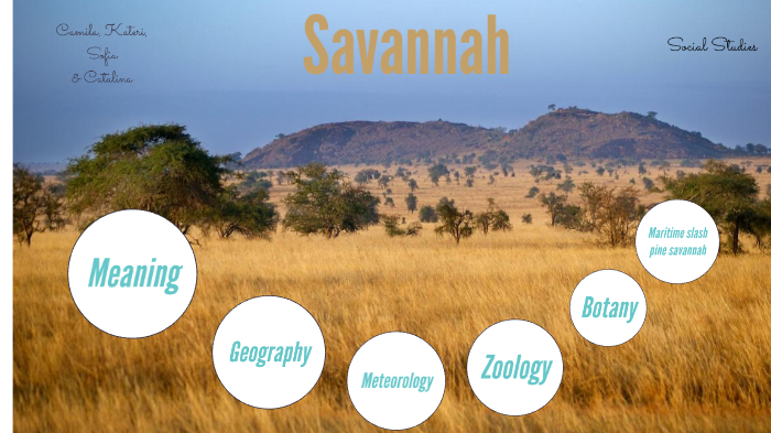 The Savannah by Savannah Project on Prezi