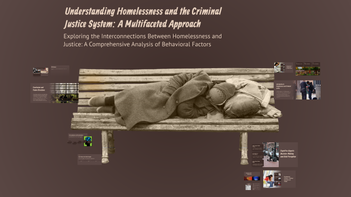 Understanding Homelessness and the Criminal Justice System: A ...