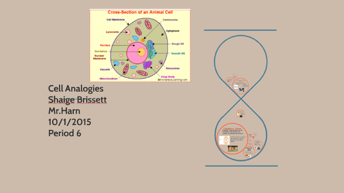 Cell Analogies Book by Shaige Brissett on Prezi