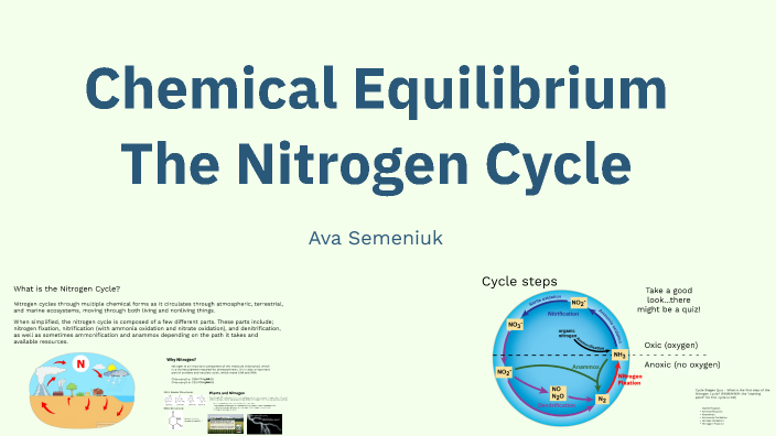 Chemical Equilibrium The Nitrogen Cycle by Ava Semeniuk on Prezi