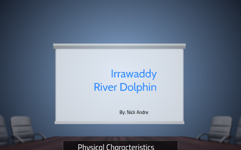 Irrawaddy river dolphin by Megan Mosier on Prezi