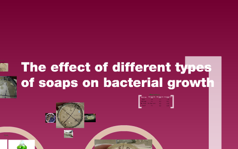 Effect of soaps on bacterial growth by Jen Van on Prezi