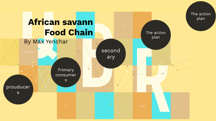 African savanna food chain by max y on Prezi