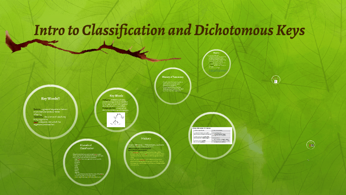 Intro to Classification and Dichotomous Keys by on Prezi