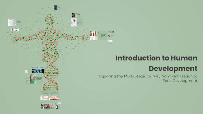 Introduction to Human Development by shubh on Prezi