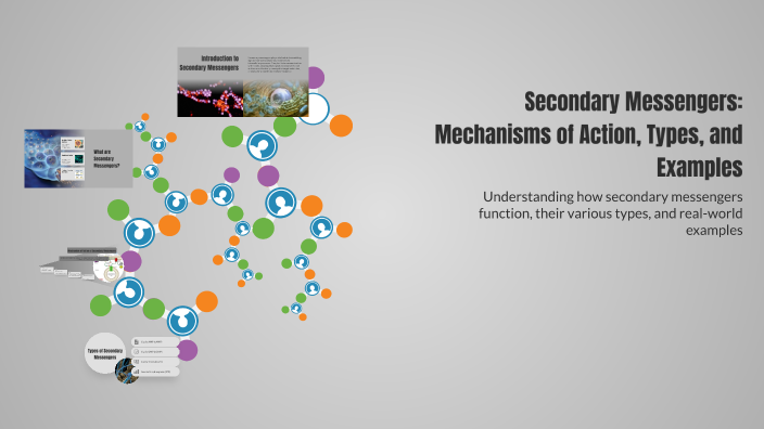 Secondary Messengers: Mechanisms of Action, Types, and Examples by ...
