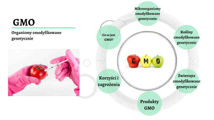 GMO by Iwona Duda on Prezi