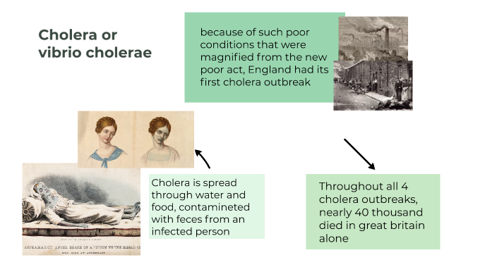 public health during the industrial revolution by Charley Roberts on Prezi