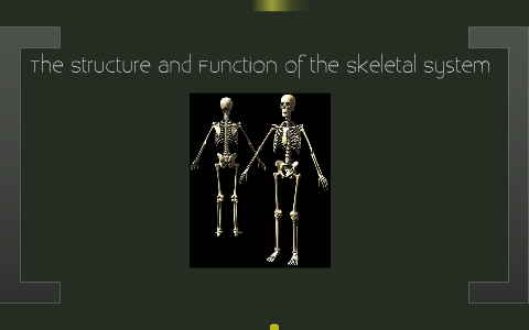 BTEC Structure and Function of the Skeletal System (Barry Comp) by Alun ...