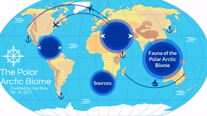 The Polar Arctic Biome by Kya Blue on Prezi