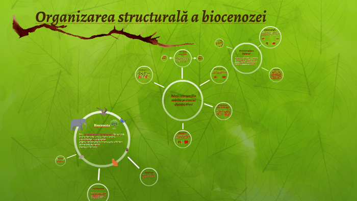 Biocenoza by Maria Nestor on Prezi