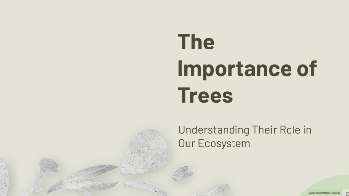 The Importance of Trees by BURCU ERDAL on Prezi