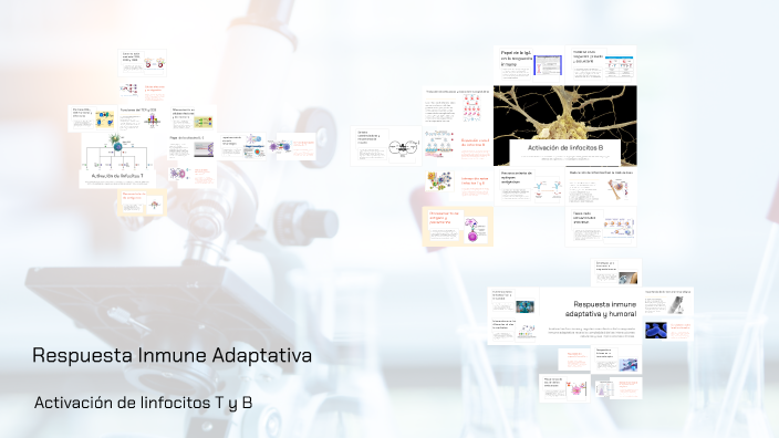 Respuesta Inmune Adaptativa by Ivan Castillo on Prezi