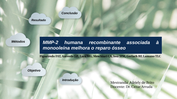 MMP-2 by ADRIELY DE SILVA on Prezi