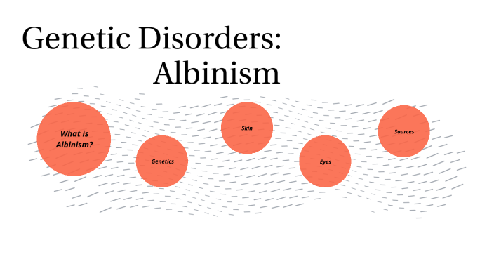 Anth 2301 54177 Final Presentation Albinism By Emilia Fong On Prezi