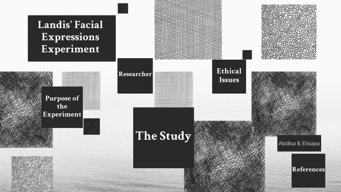 Landis' Facial Expressions Experiment - Abdisa and Elisapa by Abdisa ...