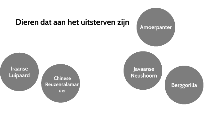 Dieren die aan het uitsterven zijn by Artin Zainalpour on Prezi
