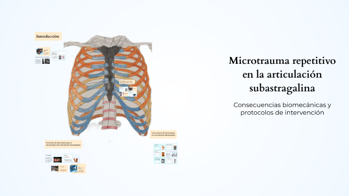 Microtrauma repetitivo en la articulación subastragalina by Luis Padrón ...