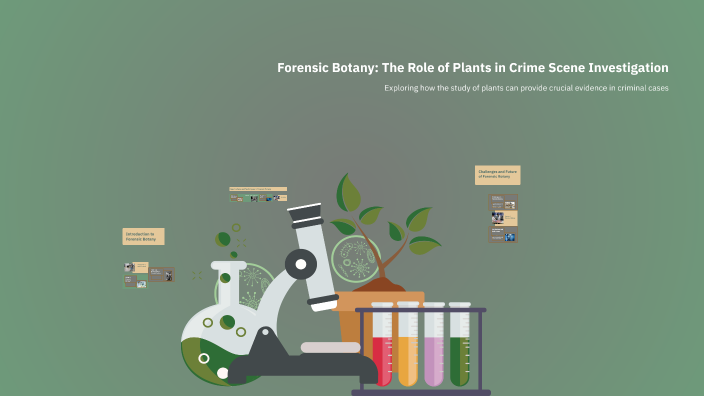 Forensic Botany: The Role of Plants in Crime Scene Investigation by ...