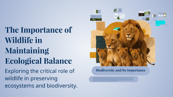 The Importance of Wildlife in Maintaining Ecological Balance by SHEULI ...