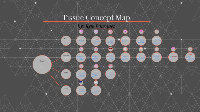 Tissue Concept Map by Kyle Bousquet on Prezi
