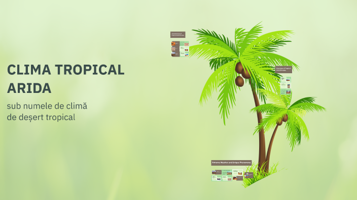 Tropical Arid Climates by Livada Bio on Prezi