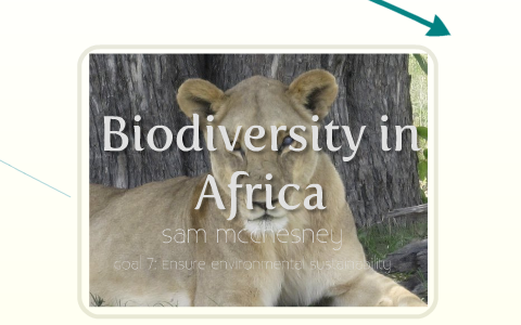 Bio Diversity in Africa by Samuel McChesney