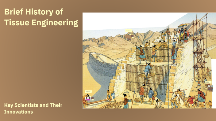 Brief History of Tissue Engineering by roozbeh kiani on Prezi