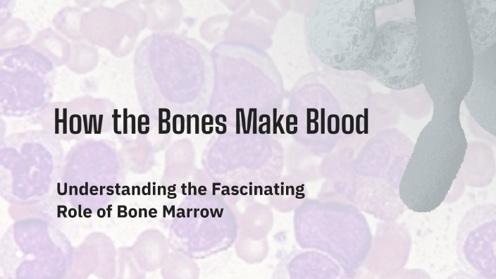 How the Bones Make Blood by Kalai Gonsalves on Prezi