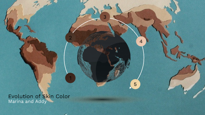 Evolution of Skin Color by Addy Kostrencich on Prezi
