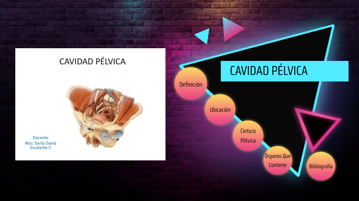 Cavidad Pélvica by Romina Olmedo on Prezi