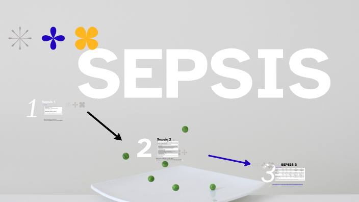 sepsis 1-2-3. by Jose Pallazhco by JOSE BYRON PALLAZHCO DIAZ on Prezi