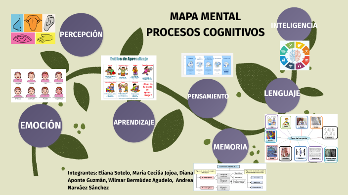MAPA MENTAL DE LOS PROCESOS COGNITIVOS by Andrea Narvaez on Prezi