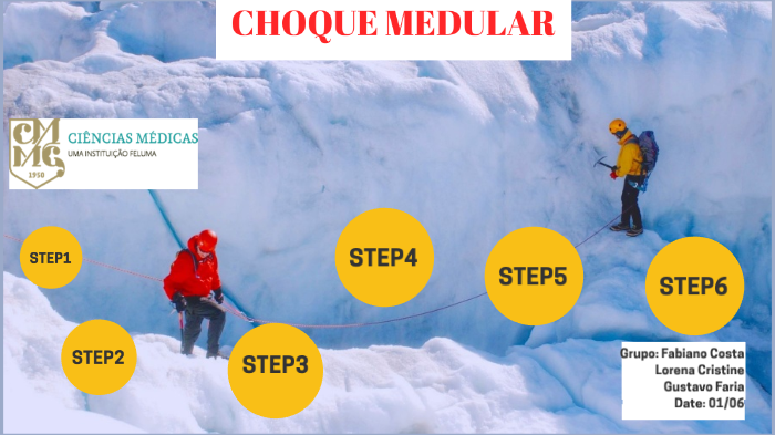 Choque medular by Fabiano Silva da Costa on Prezi