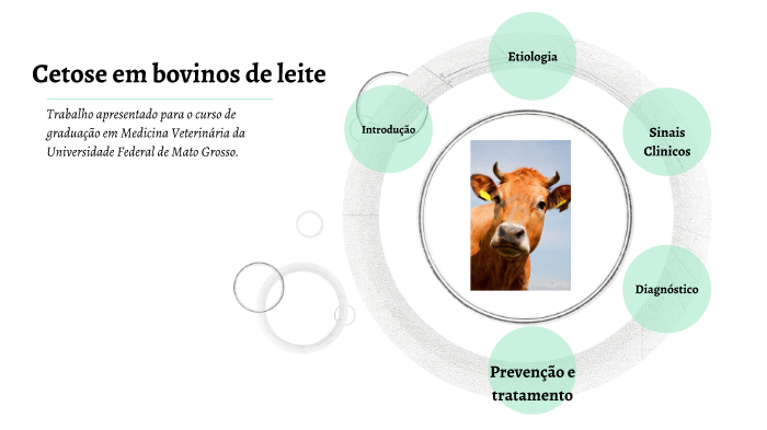 Cetose em bovinos de leite by Victória Luiza Barros on Prezi
