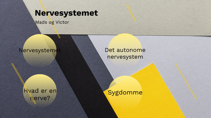 Nervesystemet by Victor Christian Kræmmergaard Stevn 7A on Prezi