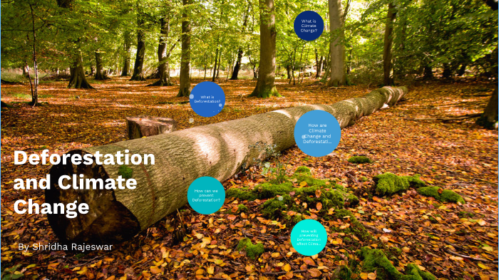 Climate Change and Deforestation by Shridha Rajeswar on Prezi