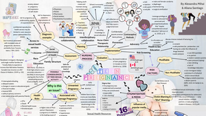 Teen Pregnancy Mind Map by Mihaela Mihai on Prezi Design