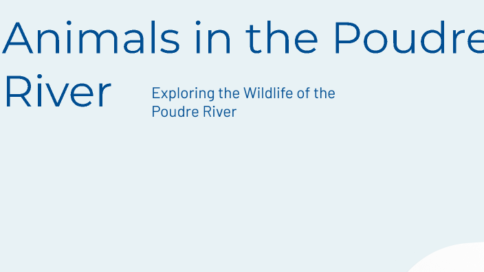 Animals in the River by Charles Conkling on Prezi