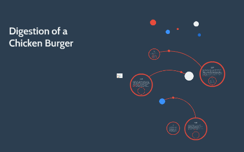 Digestion of a Chicken Burger by Leoni White on Prezi