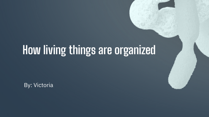 Levels of Organization in Living Things by Victoria Salcido Ramos on Prezi
