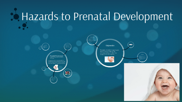Hazards to Prenatal Development by Carmon Doherty on Prezi
