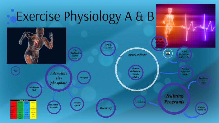 Exercise Physiology A by Craig Slavin on Prezi