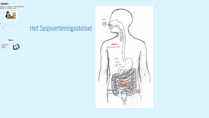 Het Spijsverteringsstelsel by on Prezi