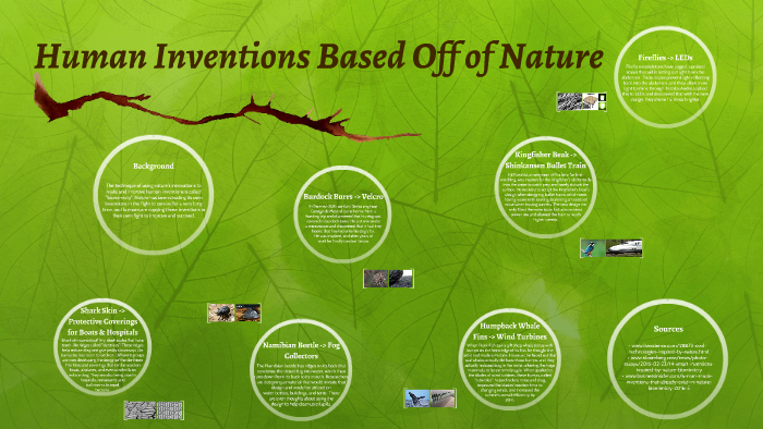 Human Inventions Based Off of Nature by Katie Darlage on Prezi