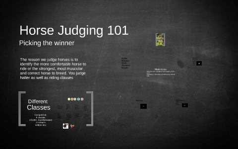 Horse Judging 101 by Nicole Allen on Prezi