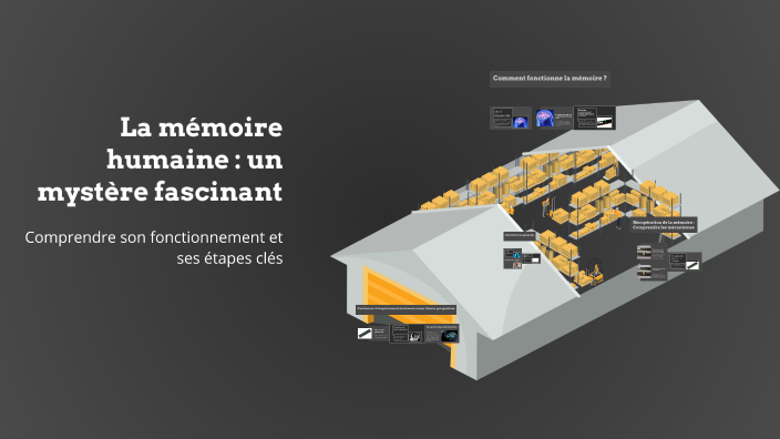 La mémoire humaine : un mystère fascinant by Mohamed khalil kherraz on ...