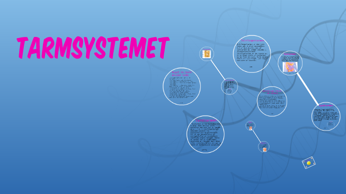 Tarmsystemet by Oliver Nicolaisen on Prezi